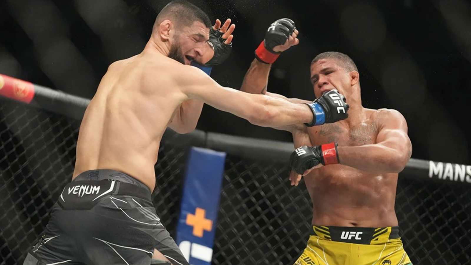 "People are just stupid"- Austin Aubir-Mercier is mad at people for ...