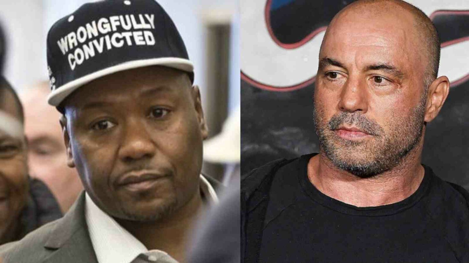 "Systemic RACIST problem" - Joe Rogan's guest Derrick Hamilton details ...