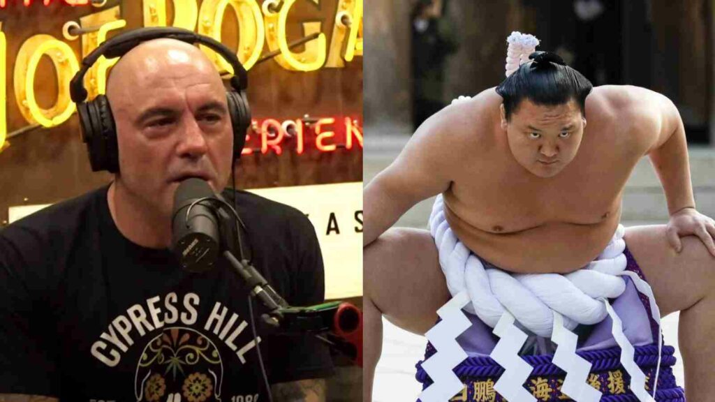 "Big giant, big bones" - Joe Rogan reacts to the Jon Jones of sumo ...