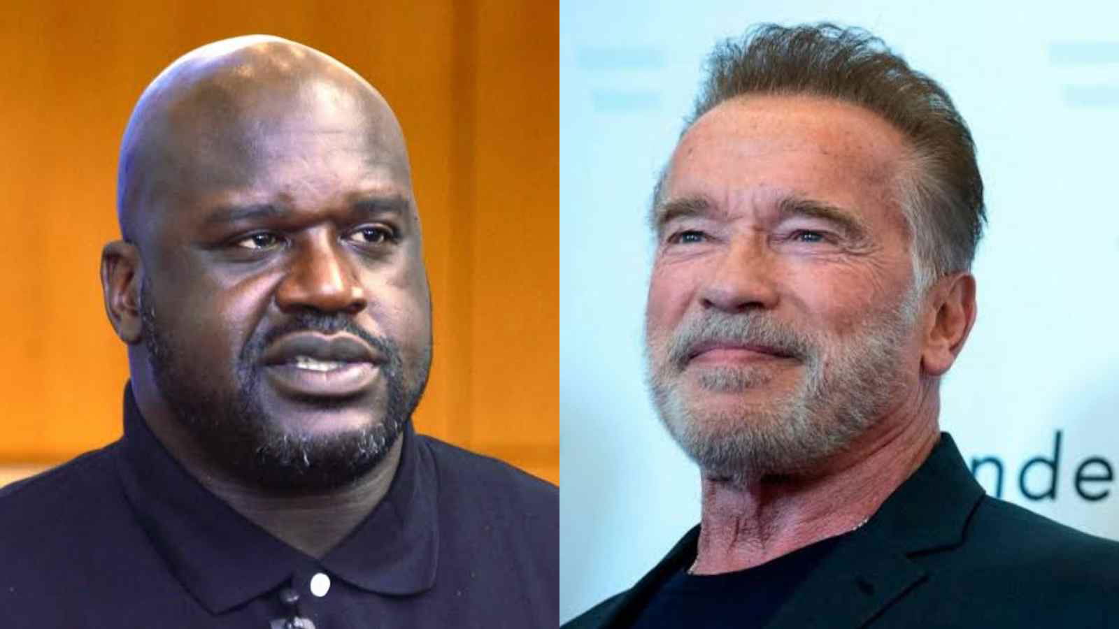 “He always insists on standing on a 2ft box” Arnold Schwarzenegger ...