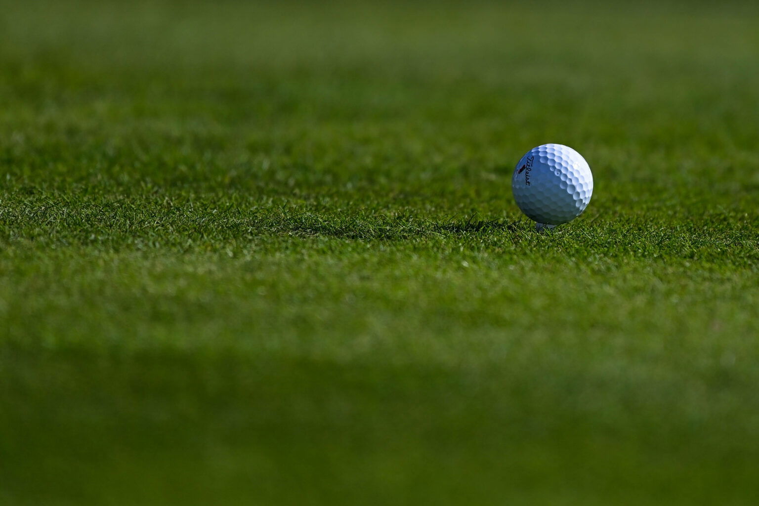 "The pros of white balls" Why is not Golf a sport of COLORED BALLS?
