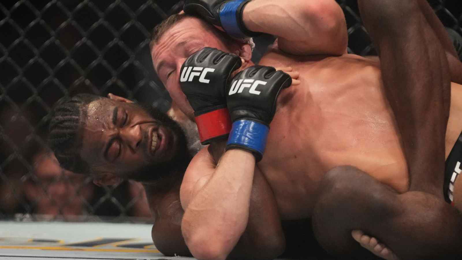 "Father and son moment" - Aljamain Sterling unexpectedly runs into ...