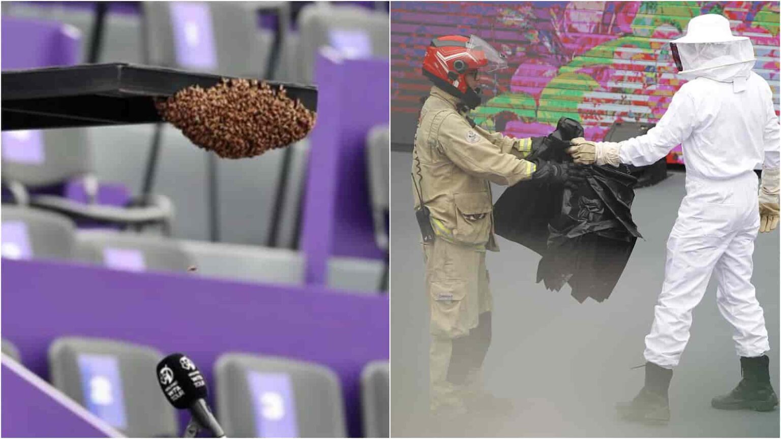 In bizarre circumstances, Guadalajara Open gets delayed as the chair ...