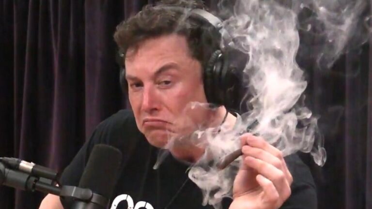 Joe Rogan gets Elon Musk approval over conversation with Billionaire ...