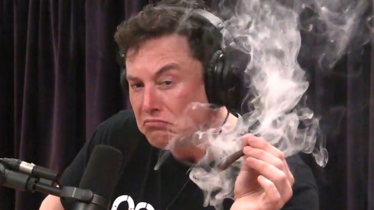 Joe Rogan gets Elon Musk approval over conversation with Billionaire ...
