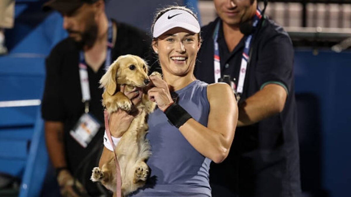 Anna Kalinskaya's Dog Runs on the Court After her Win in Washington
