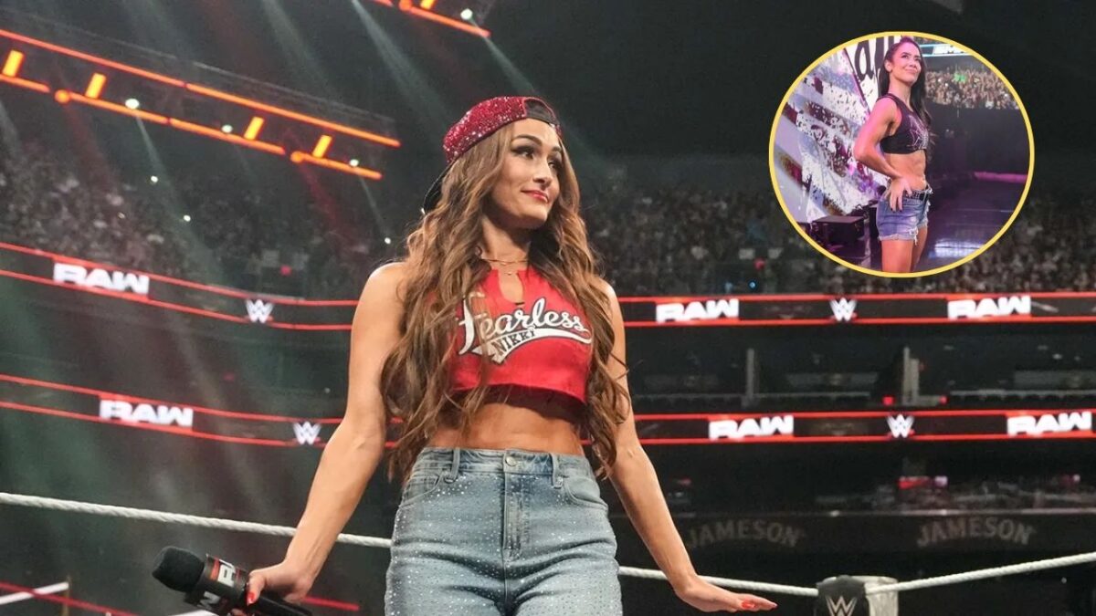 Nikki Bella Reacts to a Fan Asking Her About Potentially Facing AJ Lee ...