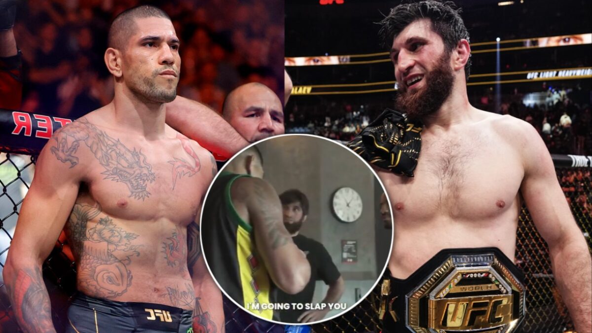 Fans Lose it as Google Translator Takes Over Beef Between Alex Pereira ...