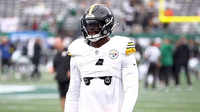 (Video) DK Metcalf Spotted Punching Lions Fan in the Stadium, Set to be ...