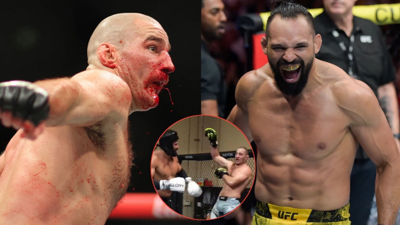 "There's Literally No Point" - Fans Puzzled After UFC Stars Sean ...