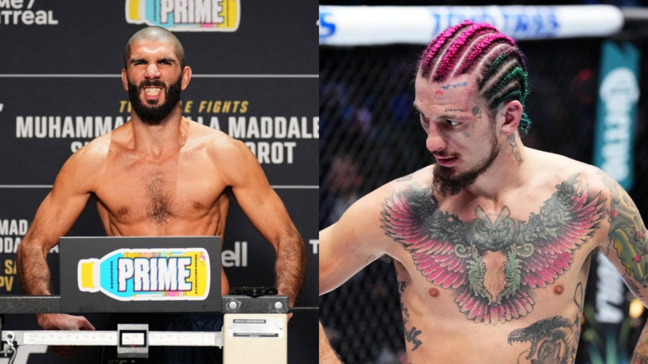 Sean O'Malley Alerted as Aiemann Zahabi Has Confidence of 'UFC GOAT' to ...